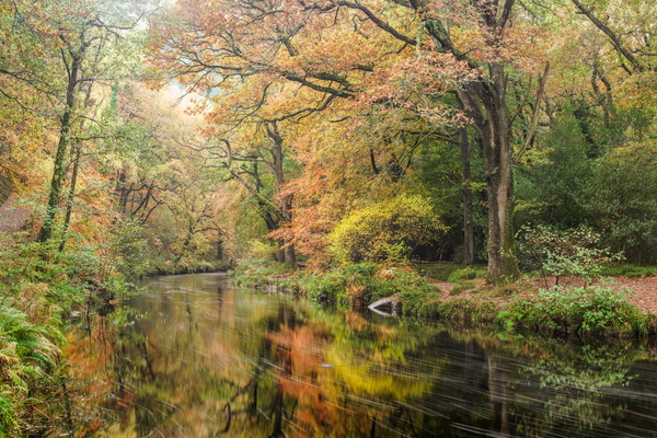 Fingle Bridge photo spot, Newton Abbot