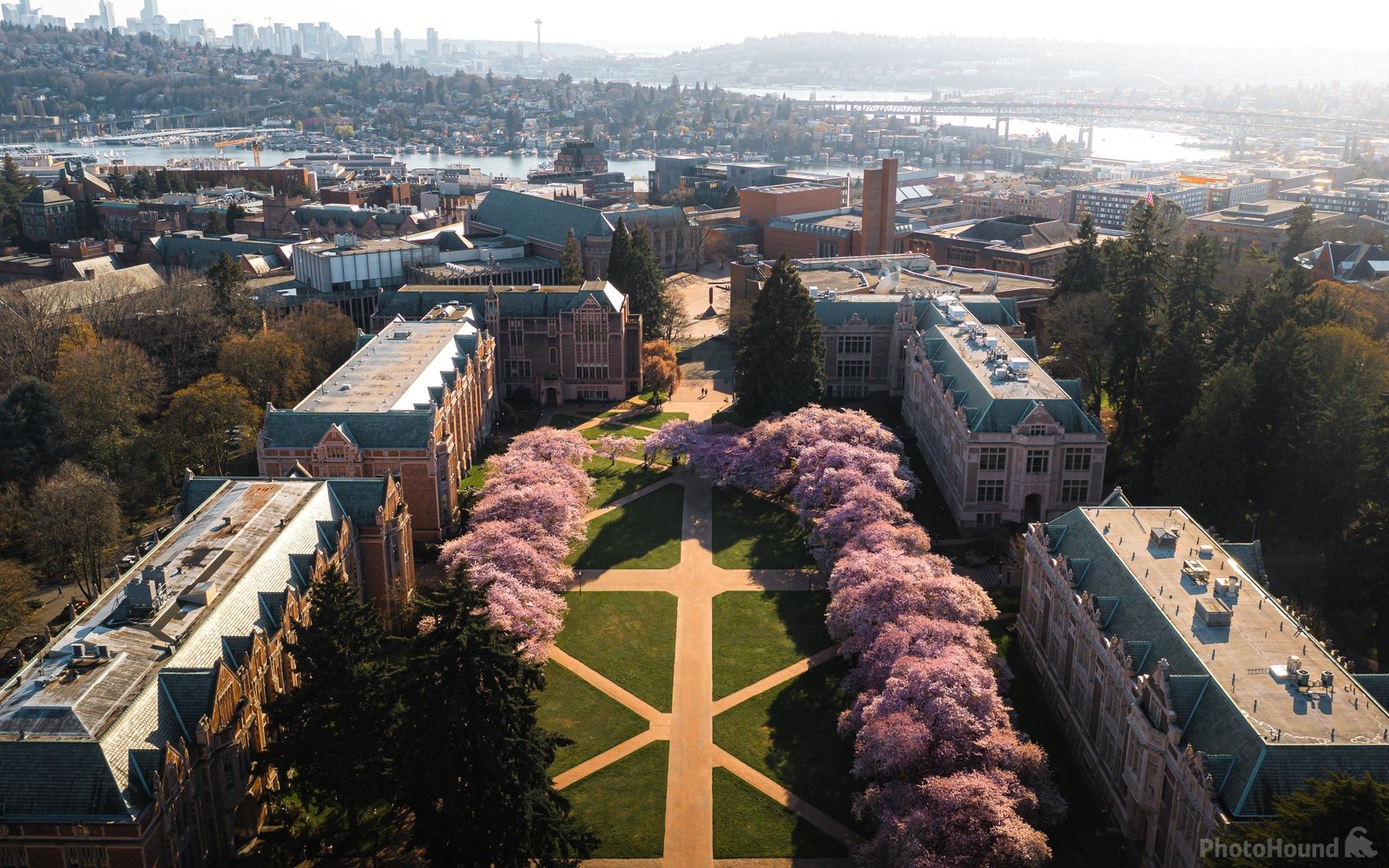 Image of University of Washington, Seattle Campus | 1035554 Image of University of Washington, Seattle Campus | 1035554